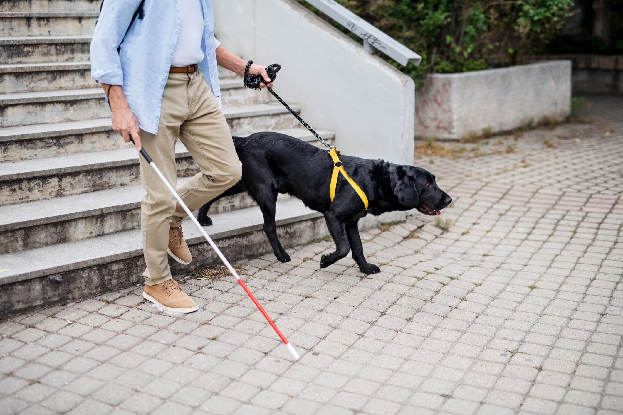 Public Transport System Can Be More Inclusive for the Blind | SMU Newsroom