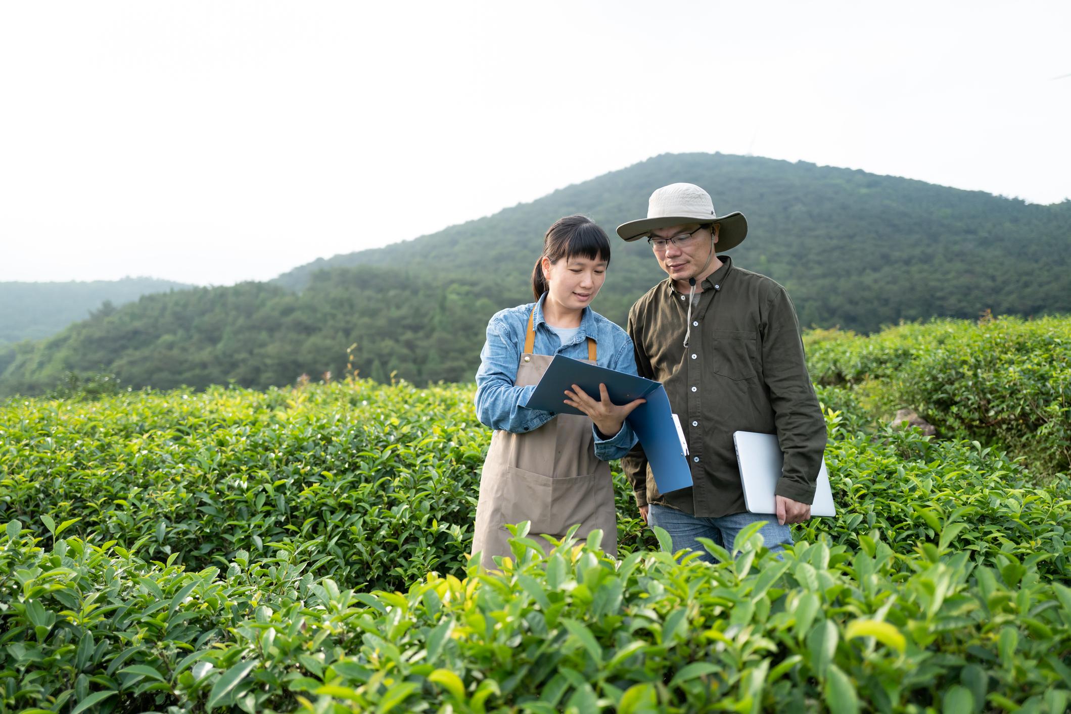 People, Planet and Profit in Rural China | SMU Newsroom