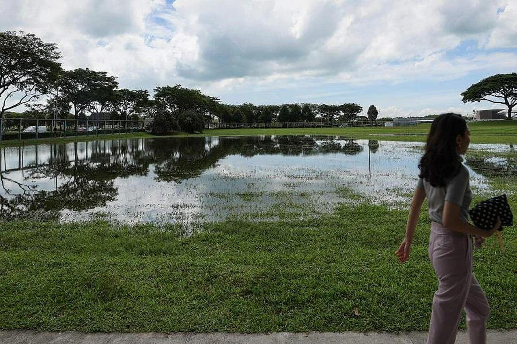 Nurturing accountants with the right expertise for the green economy ...