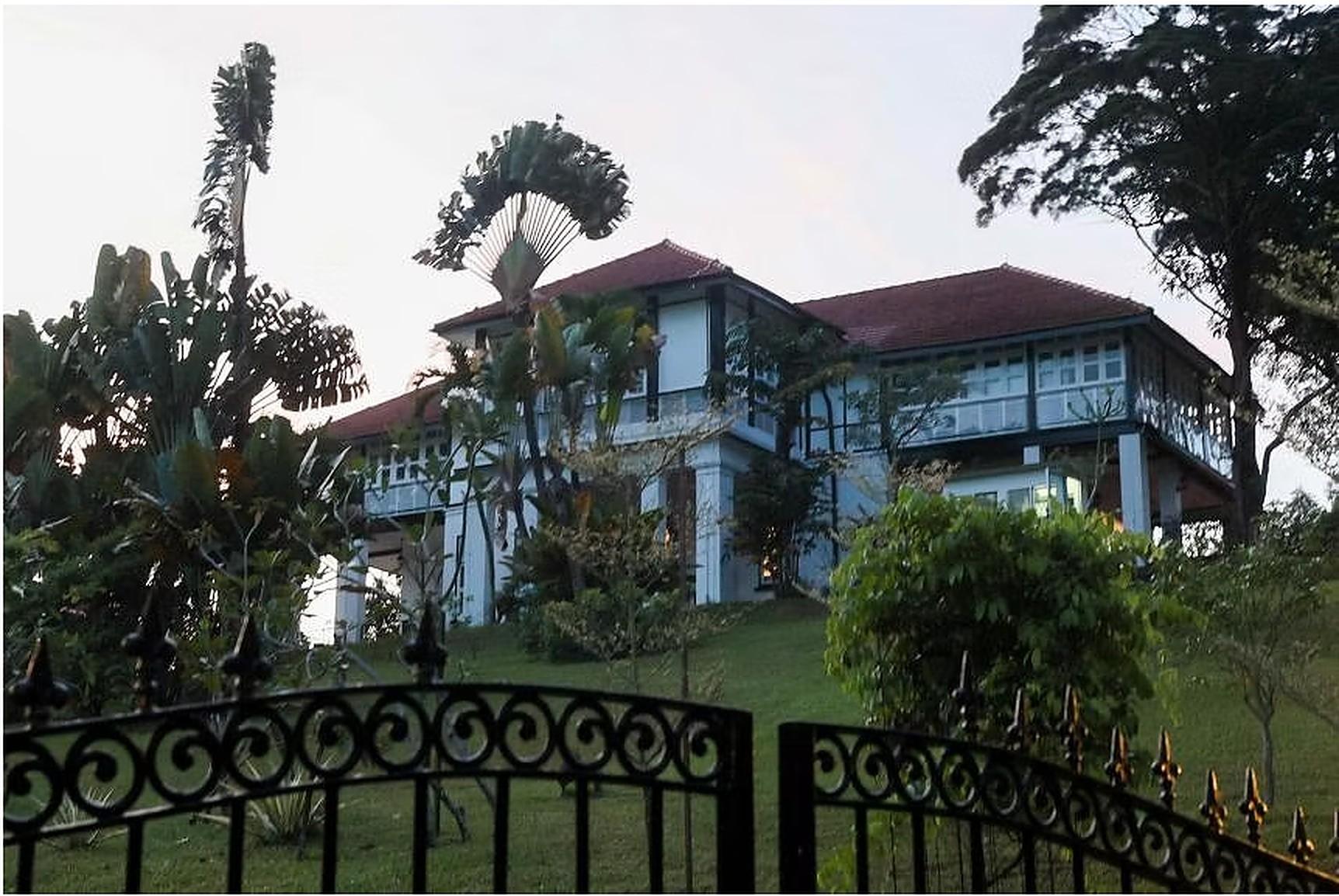 Ridout Road saga: The elephants in the room | SMU Newsroom