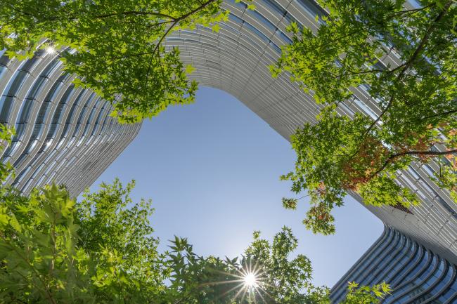 SMU and DBS partner to launch ‘Sustainable Finance in Action’ to equip ...