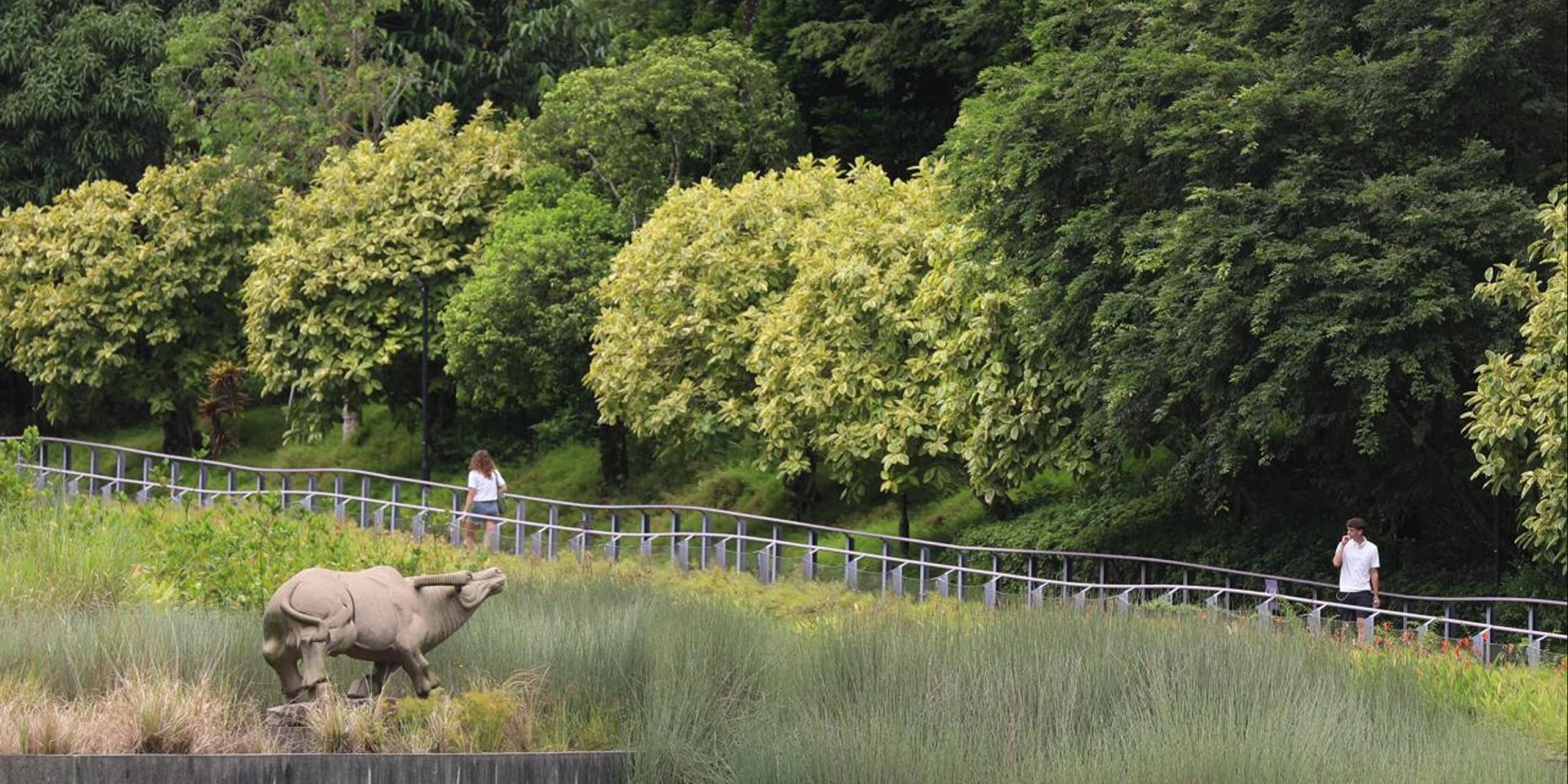 A salute to the strategic value of ESG | SMU Newsroom